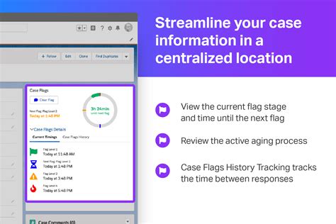 Case Flags For Salesforce Vicasso