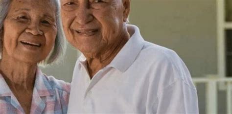 Essential Senior Cocker Spaniel Care Tips For Happy Dogs Thinkersvine