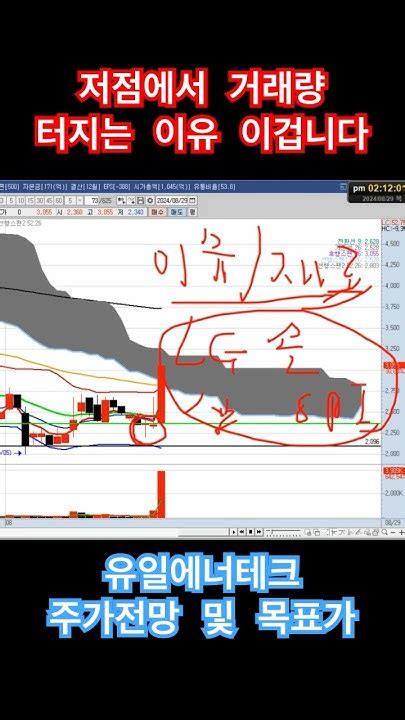유일에너테크 주가전망 및 목표가 바닥에사 터지는 거래량 움직임이 심상치 않다 유일에너테크 한농화성 삼성sdi 이수