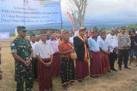 Bupati Hery Tanam Simbolis Kacang Kedele Di Desa Iteng Pemkab Manggarai
