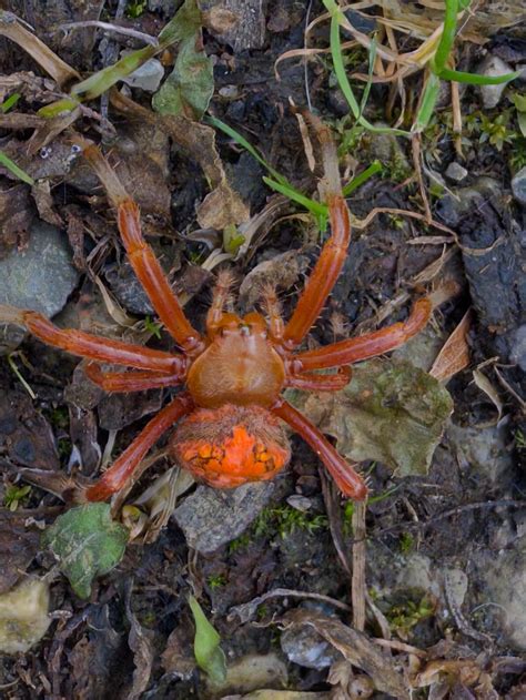 Aaron Raber I Saw A Genuinely Straight Up Spooky Season Facebook