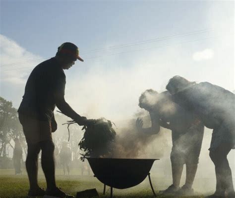 Nick A Seal Swimming In The Derwent Off East Risdon Nature Reserve