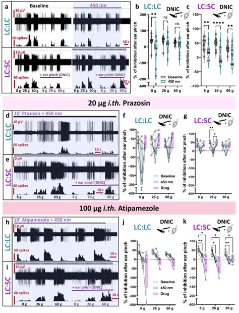 Differential Modulation Of Diffuse Noxious Inhibitory Controls Dnic