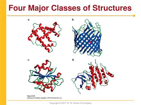 Chapter 4 Protein Structure Ppt Download
