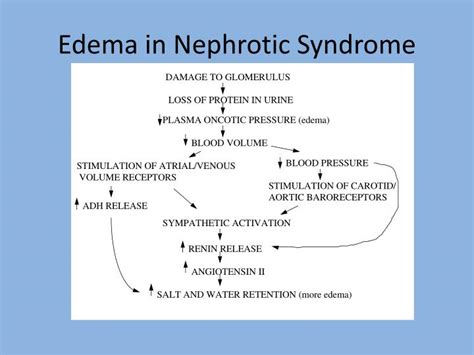 Nephrotic Syndrome Edema