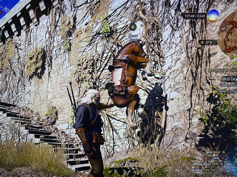 Dammit Spider Roach Rwitcher