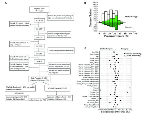 A Flow Diagram Of Selecting Process B Mirror Histogram Of