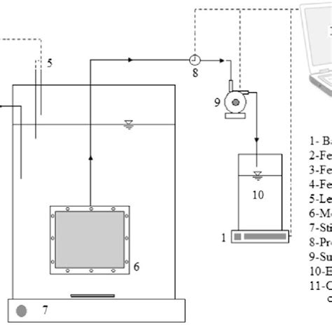 Schematic Of Mbr Reactor Download Scientific Diagram