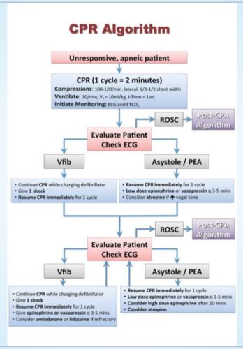 Cpr Flashcards Quizlet
