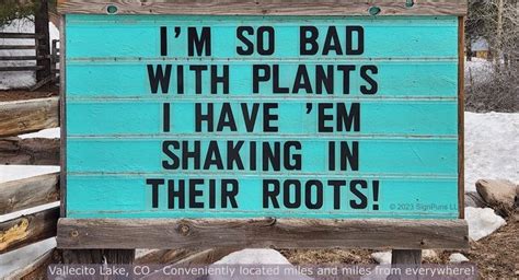 Have A Laugh Post Those Funny Memes Here Page 1489 Xnxx Adult Forum