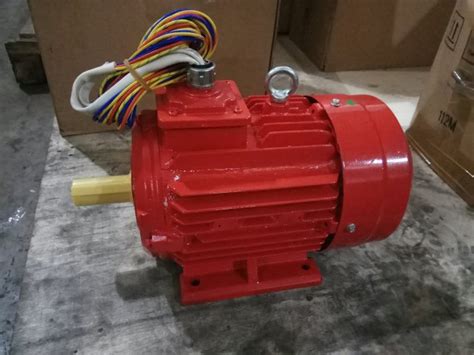 Insulation Class H Motor 0813 8383 9918 Rony