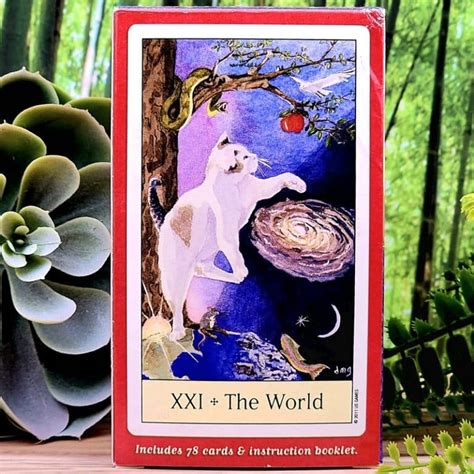 Cats Eye Tarot Cards Gypsy Moon