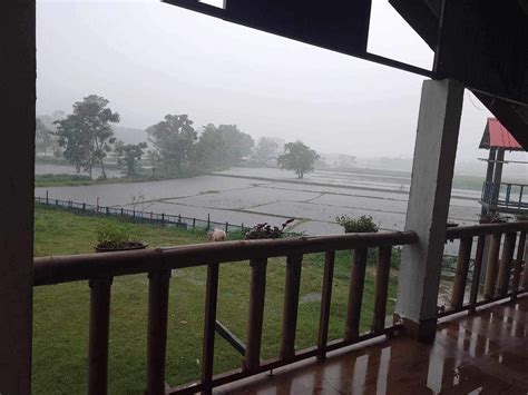 Dooars Forest Stay Updated 2025 Guest House Reviews Dakshin Barajhar