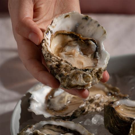 Top Tips For Handling Storing And Cooking Shellfish At Home