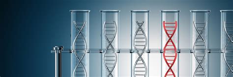 Reducing Stroke Risk With A Genetic Test Genomics Education Programme