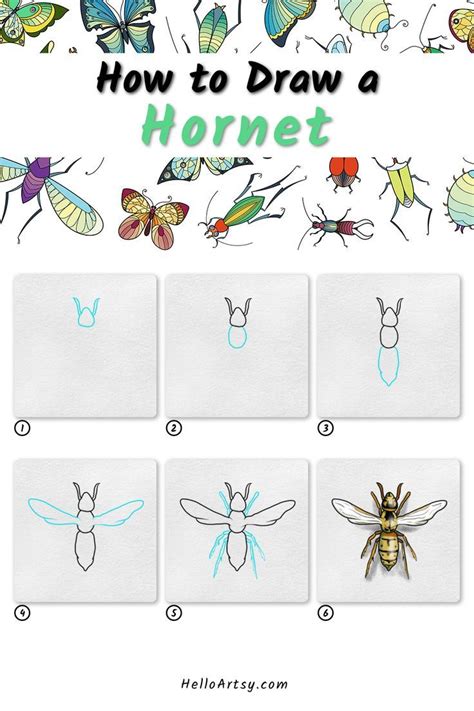 Hornet Drawing Tutorial 6 Easy Steps Bugs Drawing Wings Drawing