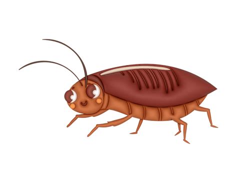 Cockroach Pngs For Free Download