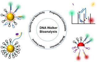 用于生物分析的工程 Dna 步行器：综述analytica Chimica Acta X Mol
