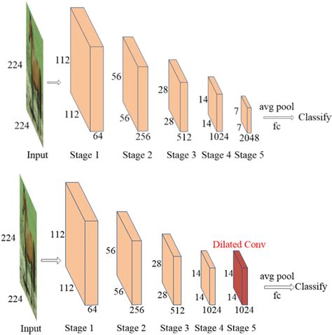 The Backbone Architectures Of Resnet Top And Detnet Below