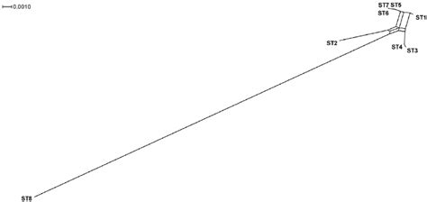 Splits Decomposition Was Used To Detect Evidence For A Past History Of