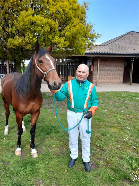 Cees De Leeuw Kehrt Zurück An Den Niederrhein News Info Stall Mein Trabrennsportde