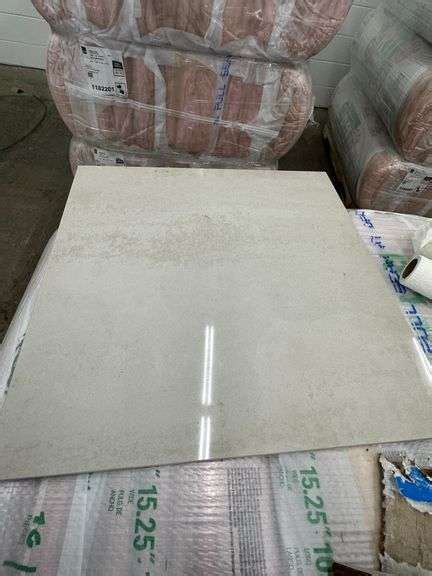 Prodigy Cruz Pl Porcelain Tile Flooring 24x24 Lambrecht Auction Inc