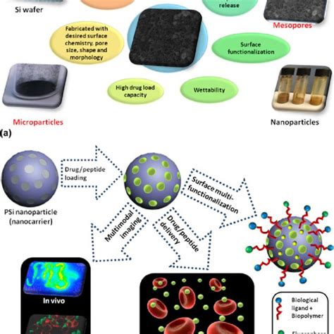 Pdf Nanostructured Porous Silicon In Preclinical Imaging Moving From