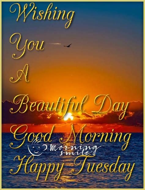 Happy Tuesday Morning