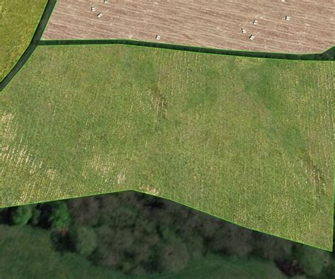 Artstation Aerial Grass Seamless Texture Game Assets