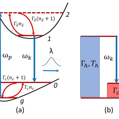 Color Onlinea Schematic Of The Pump Probe Measurement In Molecular