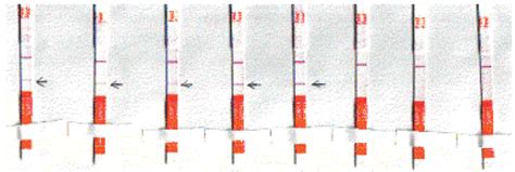 Edta Extraction Method Tested On The Sedimented Fraction Of Feed Download Scientific Diagram