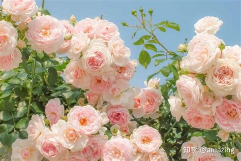 好看的高清电脑壁纸~ 知乎 好看的高清电脑壁纸~ 知乎