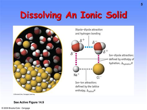 Ppt Understanding Egg Behavior In Solutions Swelling And Shrinking