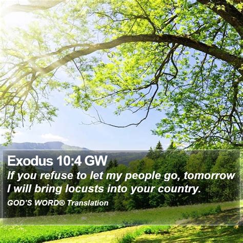 Exodus 104 Gw Bible Images