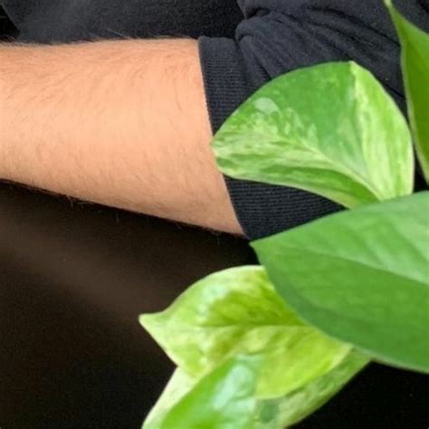 Stream Doom Master By Jc Listen Online For Free On Soundcloud