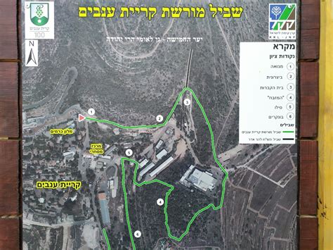 260624 יום רביעי אל קרית ענבים הלא מוכרת מדריך שי בייטנר מאורות