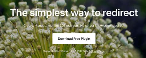 13 Wordpress Redirect Plugin Options Best Practices