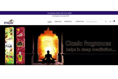 build a mobile responsive wordpress website design for your business by