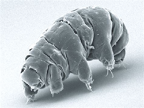 What Would It Take To Wipe Out All Life On Earth Smithsonian
