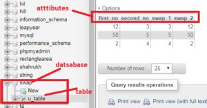 PHP Program To Swap The Two Numbers In PHP With Form Database T4Tutorials Com