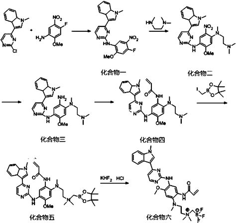 Egfr Epidermal Growth Factor Receptor Tki Tyrosine Kinase Inhibitor