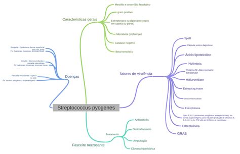 Streptococcus Pyogenes Coggle Diagram