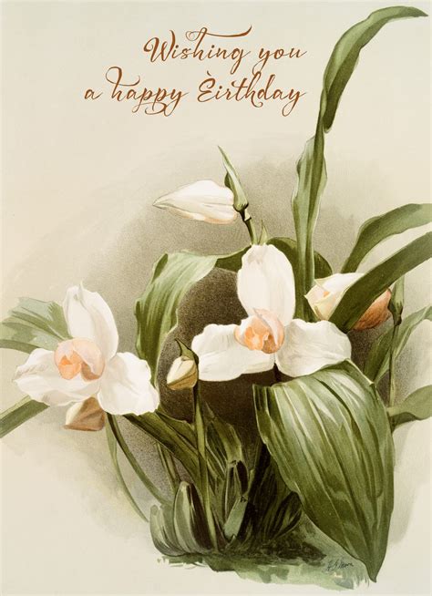 Happy Birthday Orchid Flower Images