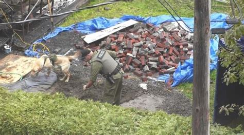 Man Charged With 2nd Degree Murder In Death Of Josiane Arguin Cbc News