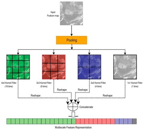 desppnet a multiscale deep learning model for cardiac segmentation
