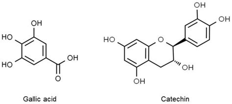 Polyphenolic Compounds In Underutilized Plant Seeds For Health Encyclopedia Mdpi