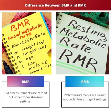BMR مقابل RMR الفرق والمقارنة