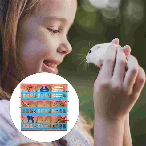 햄스터 장난감 은신처 튜브 액세서리 집 미로 은신처 난쟁이 터널 나무 숨기기 글라이더 설탕 햄스터 케이지 물건 나무 장난감