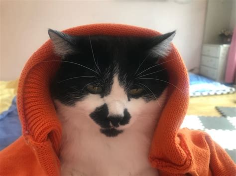 第2讲 Exception和error有什么区别？ 极客时间