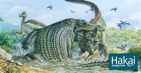 When Deinosuchus Ruled The Earth Hakai Magazine